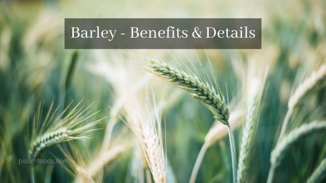 Barley Details & Benefits [King of Cereals] | Diamond Som Foods
